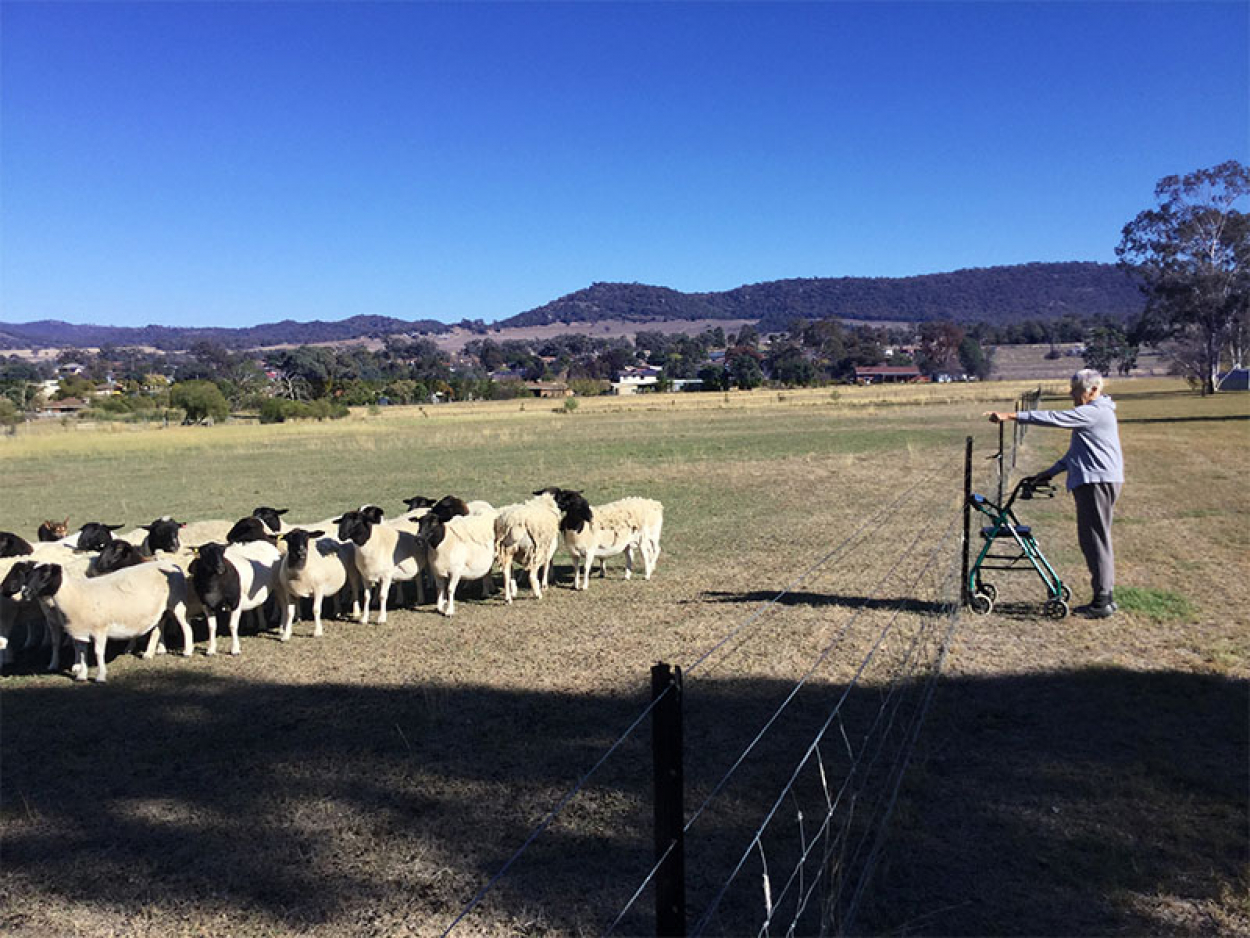 RFBI Moonbi Masonic Village, Moonbi NSW - retirement real estate ...
