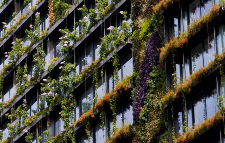 Why “Green” Features Matter | Downsizing.com.au